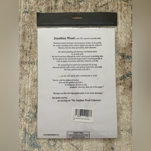 1D | Wall Decor | One Direction Original Pencil Drawing By Jonathan ...